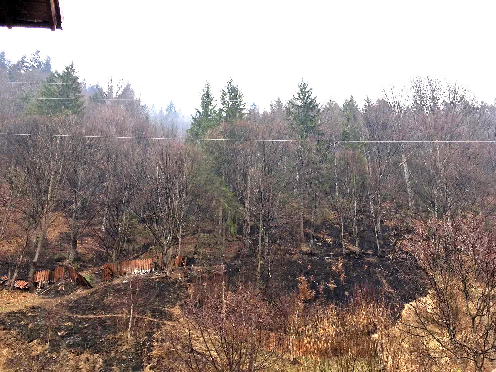 Incendiu de proporţii în pădurea Izvoru Muntelui - Realitatea Media